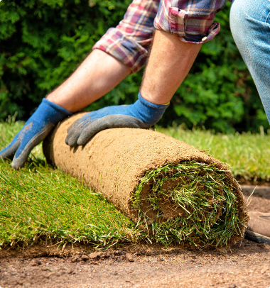 Smart Sod | Shop and buy local sod in Florida
