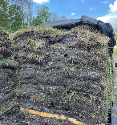 Smart Sod | Shop and buy local sod in Florida
