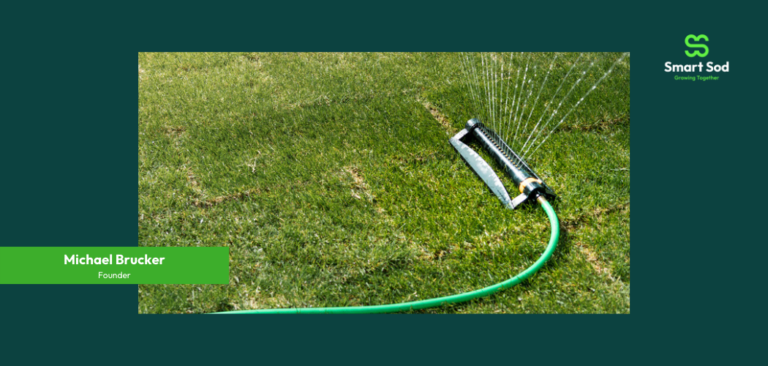 How to Water Fresh Sod – Smart Sod