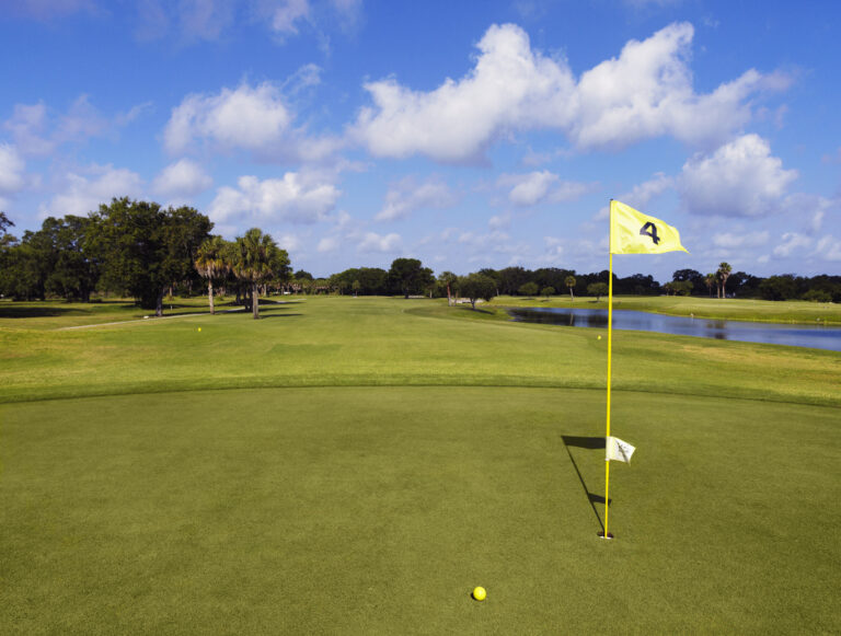 The best turf grass for legitimate Florida golf courses – Smart Sod