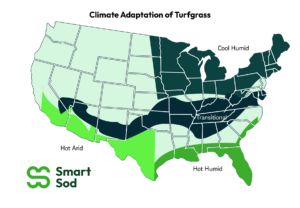 The best turf grass for legitimate Florida golf courses – Smart Sod