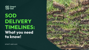Sod delivery timeline: What you need to know – Smart Sod