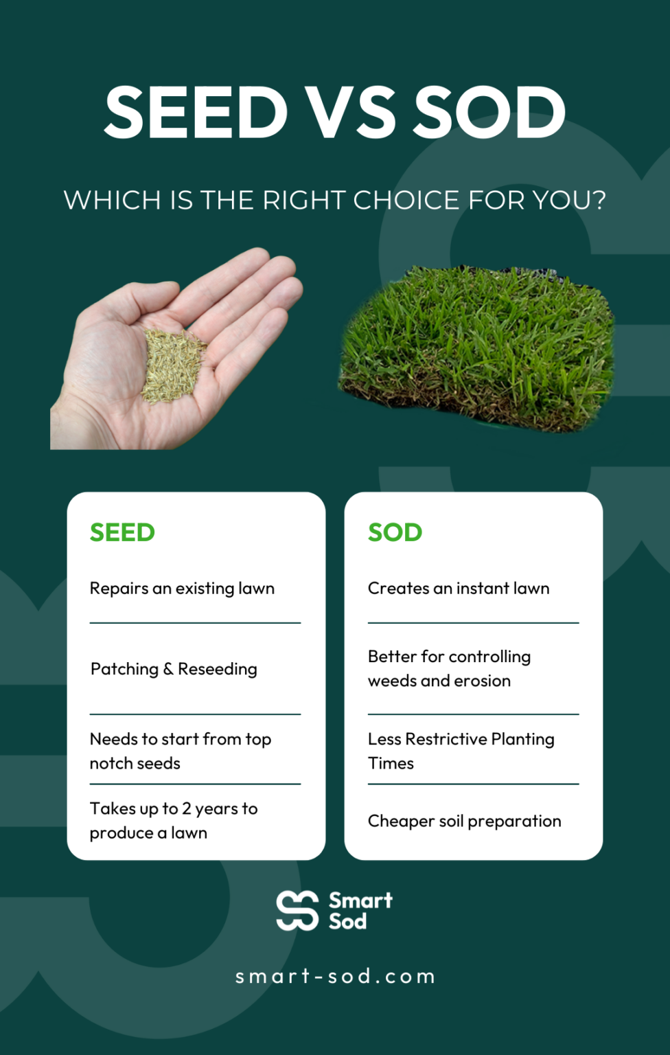 Sod vs Seed: Which is best in Florida – Smart Sod