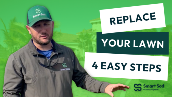 4 easy steps to replace your lawn with new grass – Smart Sod