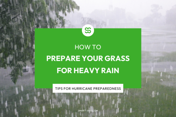 How to prepare grass for rain or hurricanes – Smart Sod